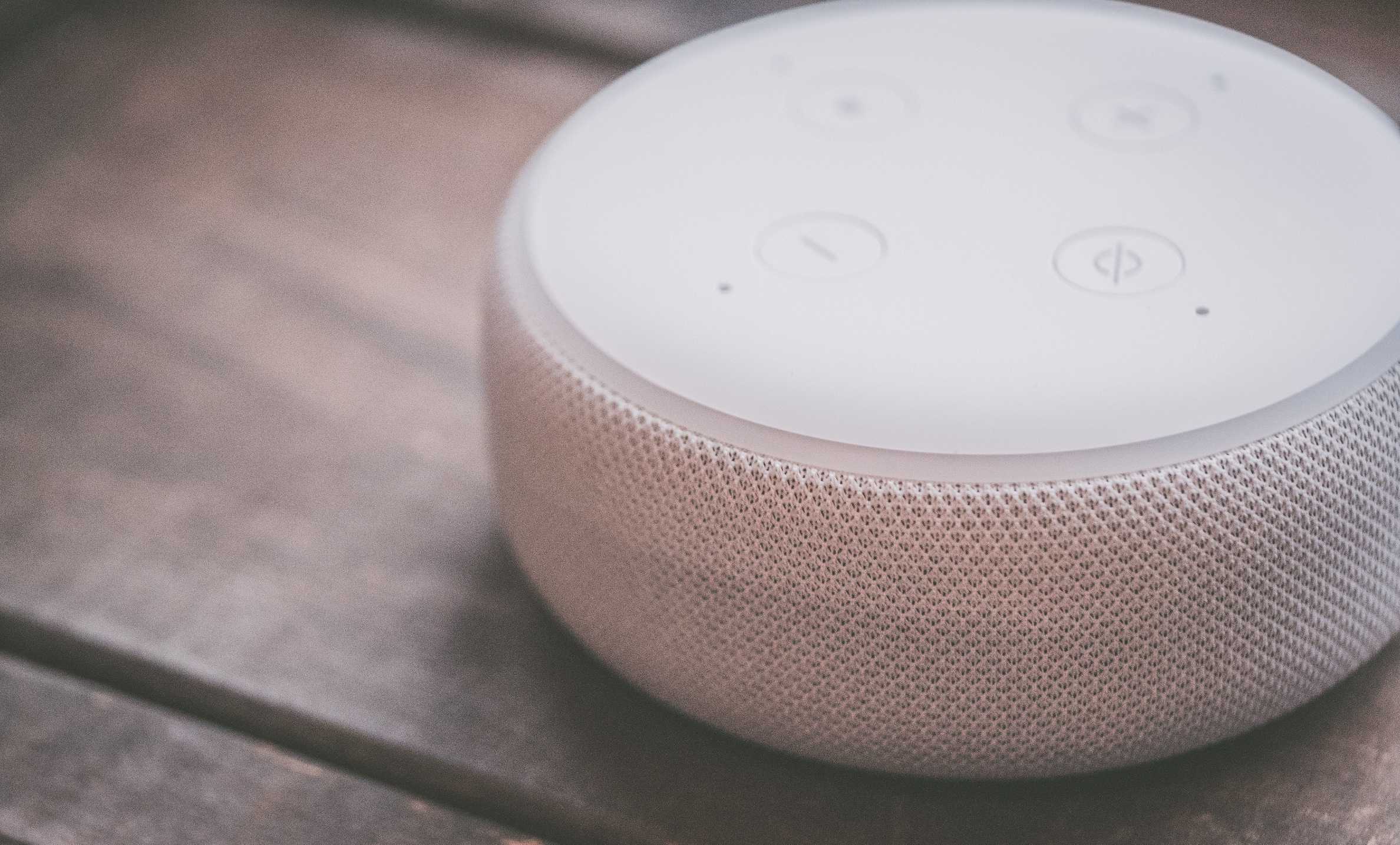 The State of Voice Commerce | commercetools