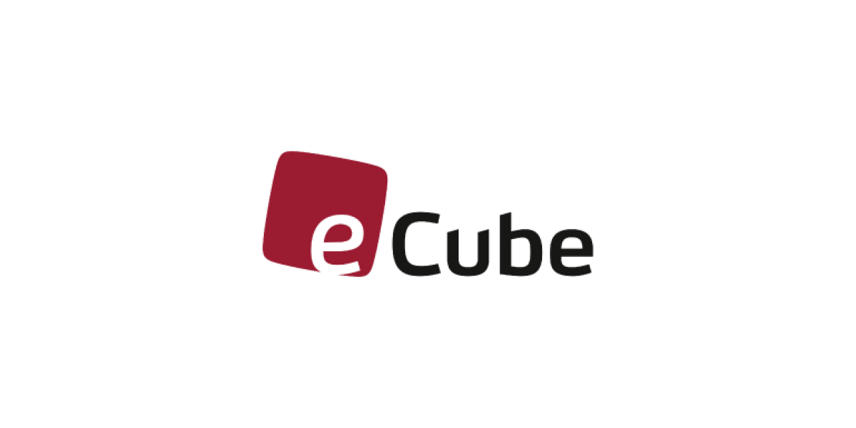 e cube solutions