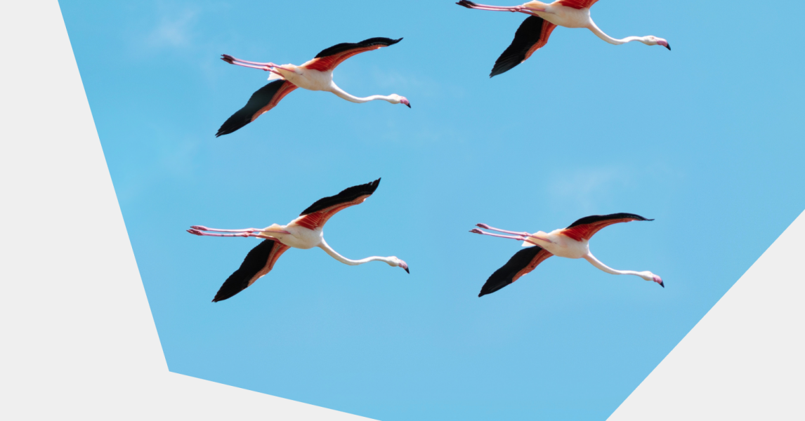 How To Migrate From Sap To Commercetools Commercetools