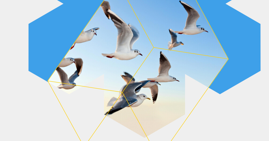 Salesforce Commerce Cloud Migration Guide White Paper | commercetools