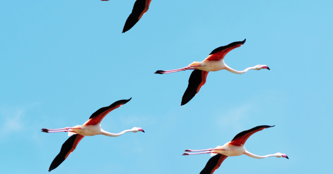 How To Unlock Your Business Potential By Migrating From Sap To
